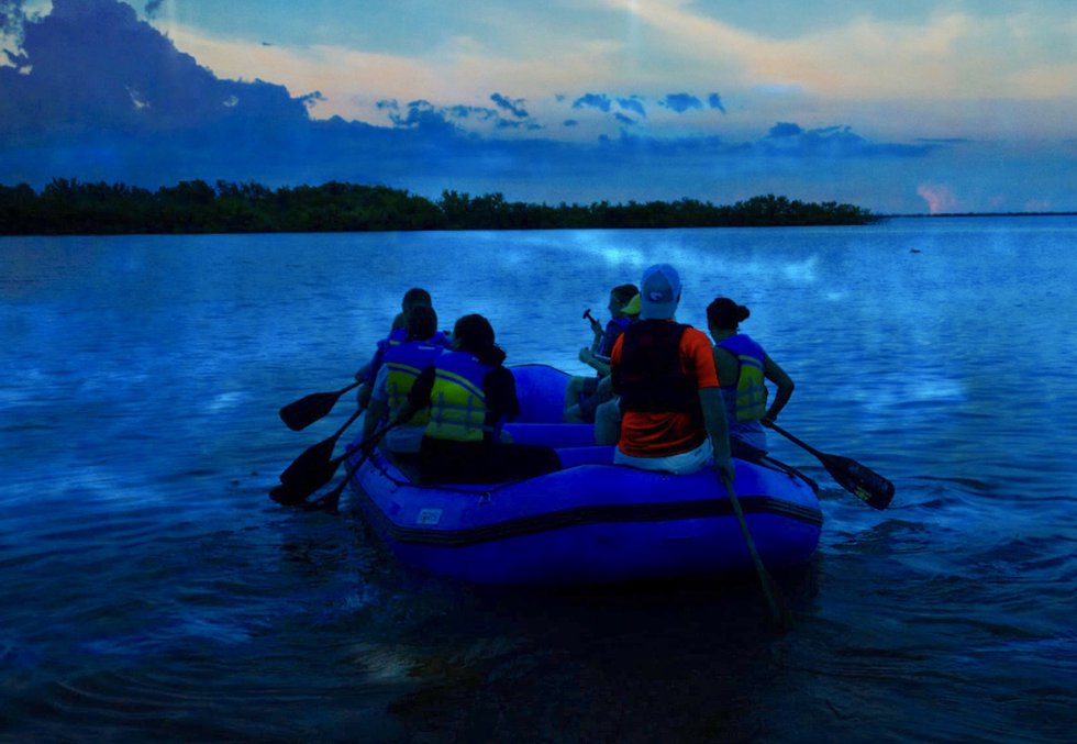Destination: Into the Twilight Zone for Bioluminescent Adventures ...
